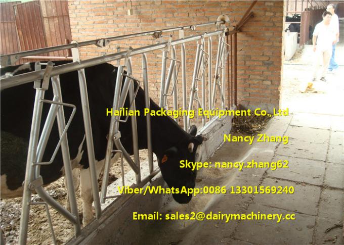Farm Customized Cow Headlock / Cattle Feeding Panels Hot Dip ...