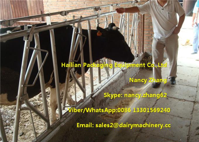 Farm Customized Cow Headlock / Cattle Feeding Panels Hot Dip ...