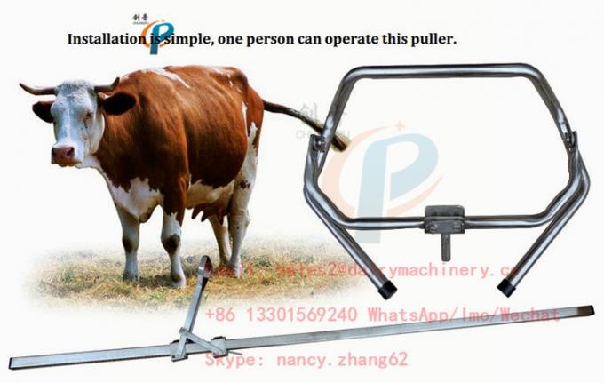 Stainless Steel Ratchet Calf Puller Calving Rocker Calf Backwards ...