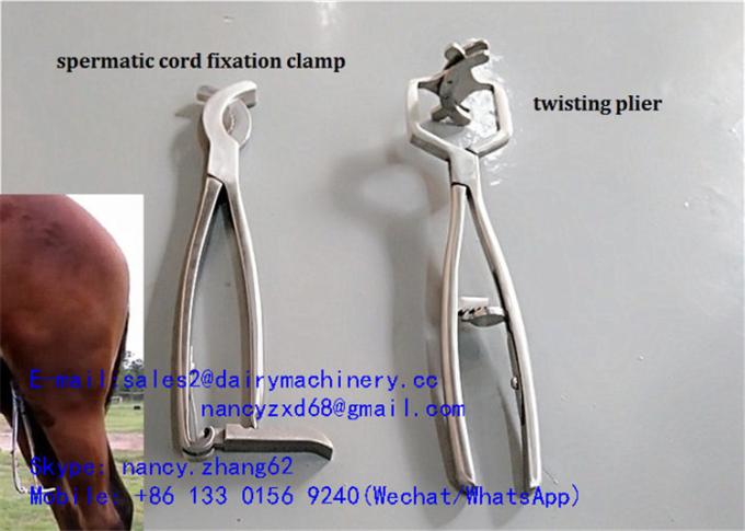 Horse Bloodless Castrating Forceps, Stainless Steel Emasculator for ...