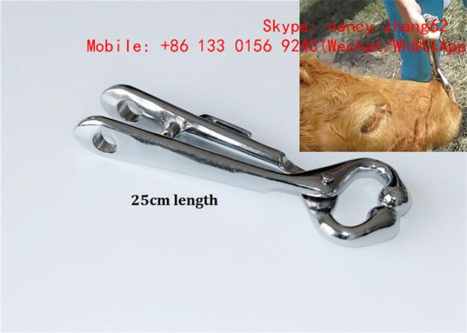 Bovine nose clamp , nose lead , nose tongs , nose grip , bulldog , bull ...