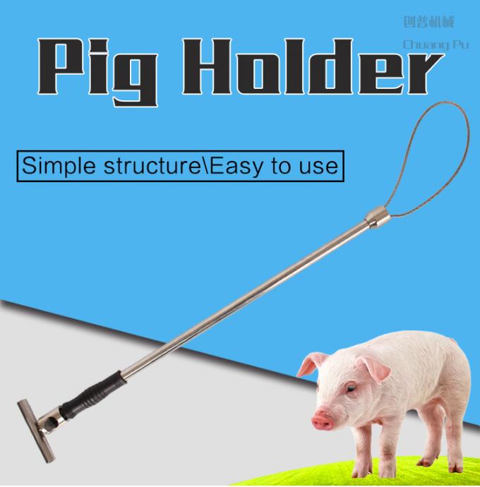 Stainless Steel Pig Holder Dairy Machinery Appliance Pig Farm Hog ...