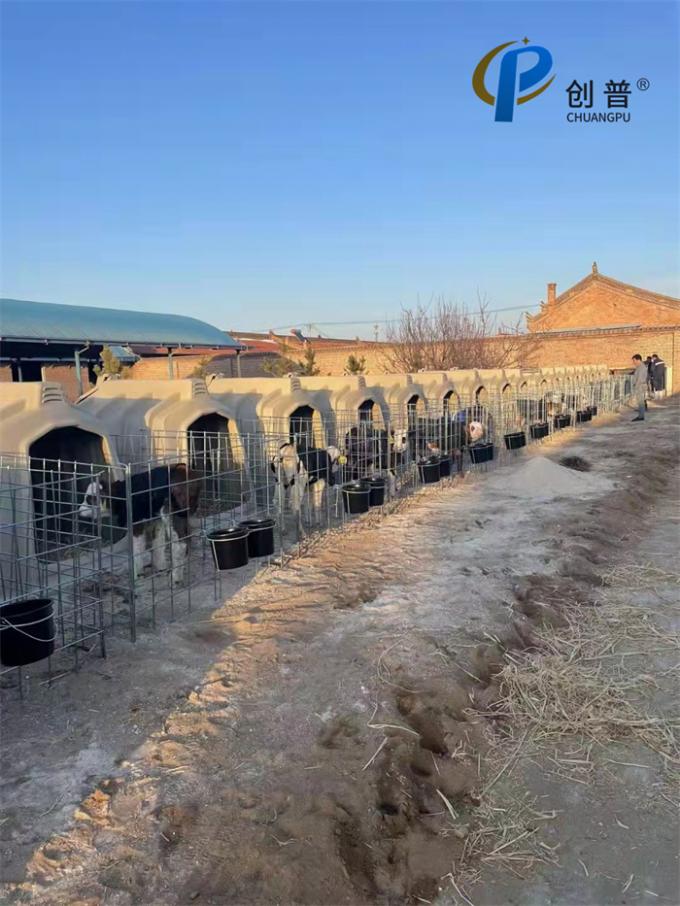 Thermal Insulation Effect Plastic Animal House Anti Uv